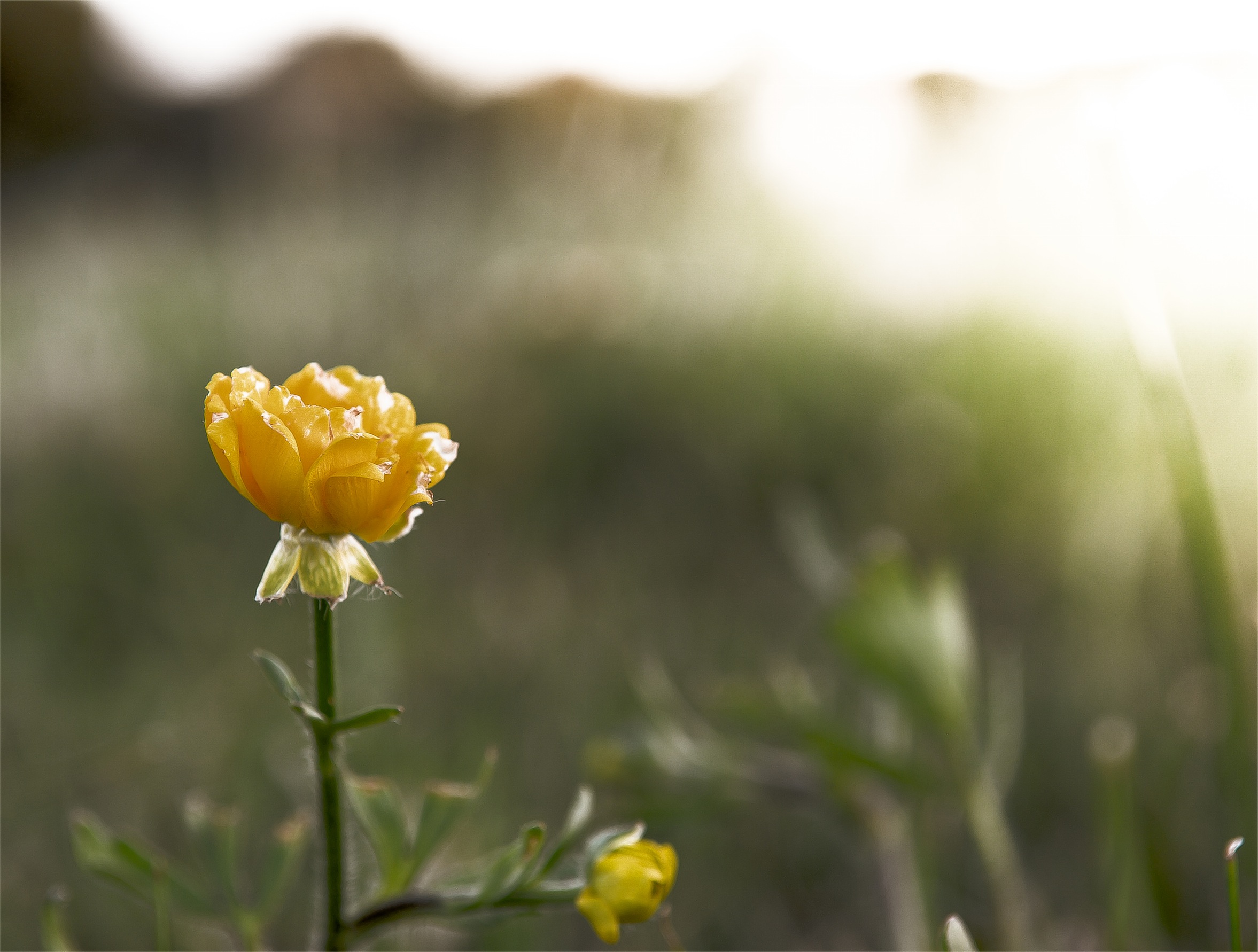 A Spring Maintenance Checklist for Your Home - Options Insurance